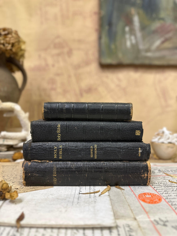 Larger Book Stack Bible Collection – The Blind Mole