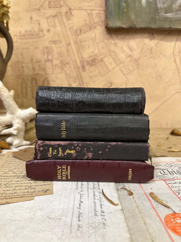 Bible Collection Book Stack – The Blind Mole