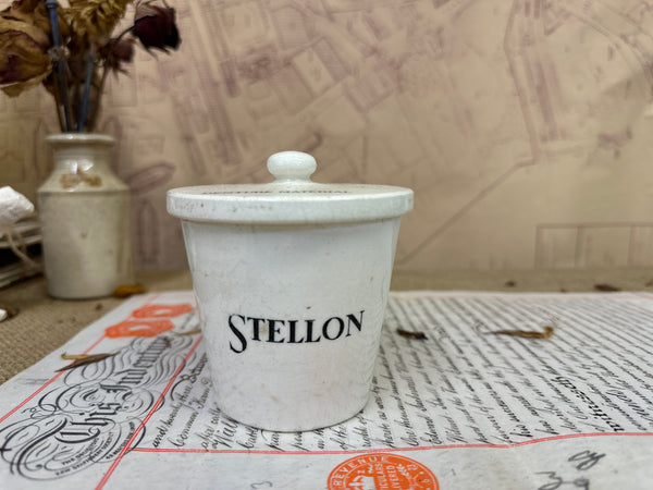 Stoneware Lidded Stellon Denture Pot – The Blind Mole