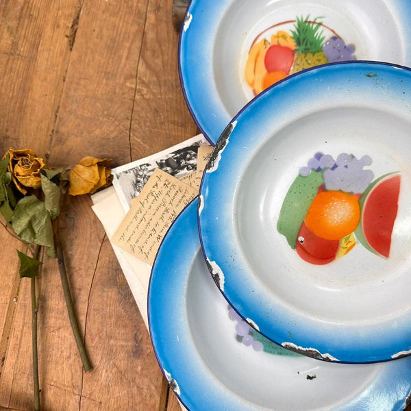 Vintage Blue Enamel Plates Dishes Fruit Design 22cm – The Blind Mole