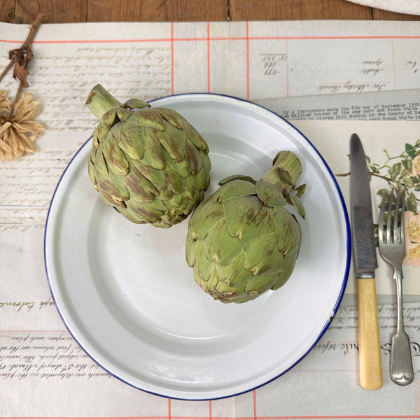 Vintage Enamel White & Blue Large Plate 26cm – The Blind Mole